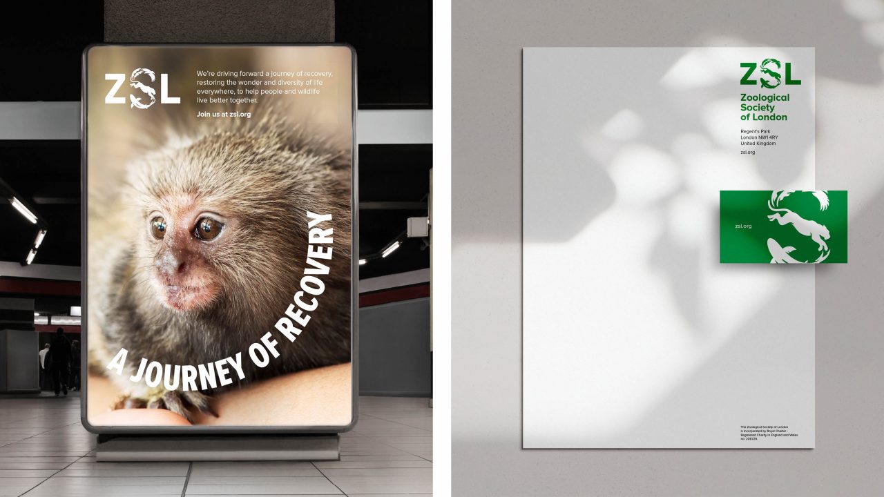 ZSL | Work | rbl Brand Agency
